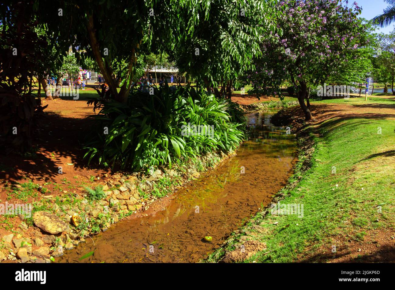 Anápolis, Goiás, Brazil – July 10, 2022: Details of a watercourse in ...
