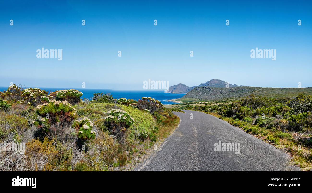 The wilderness of Cape Point National Park. The wilderness of Cape ...