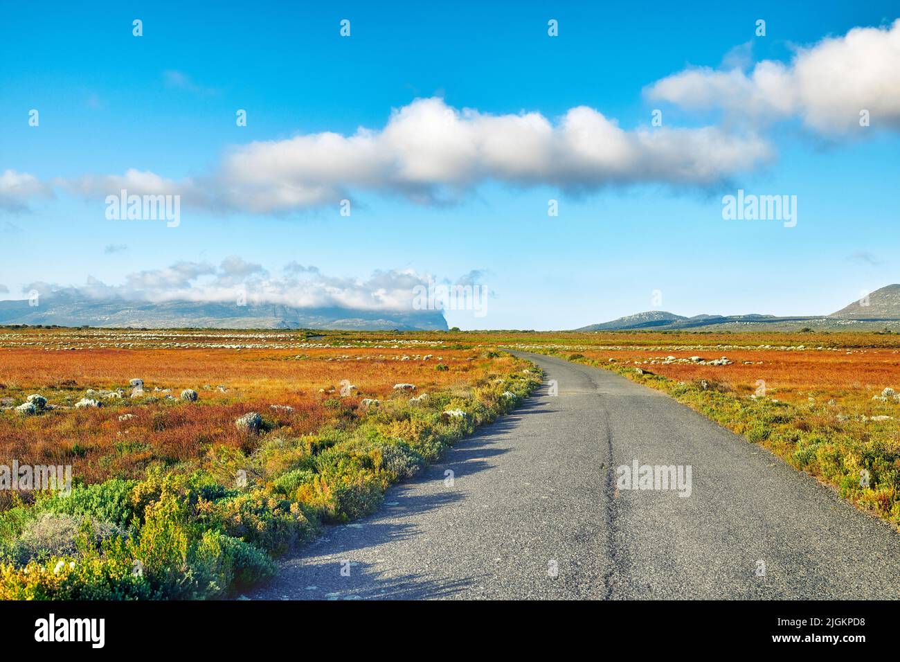 The wilderness of Cape Point National Park. The wilderness of Cape ...