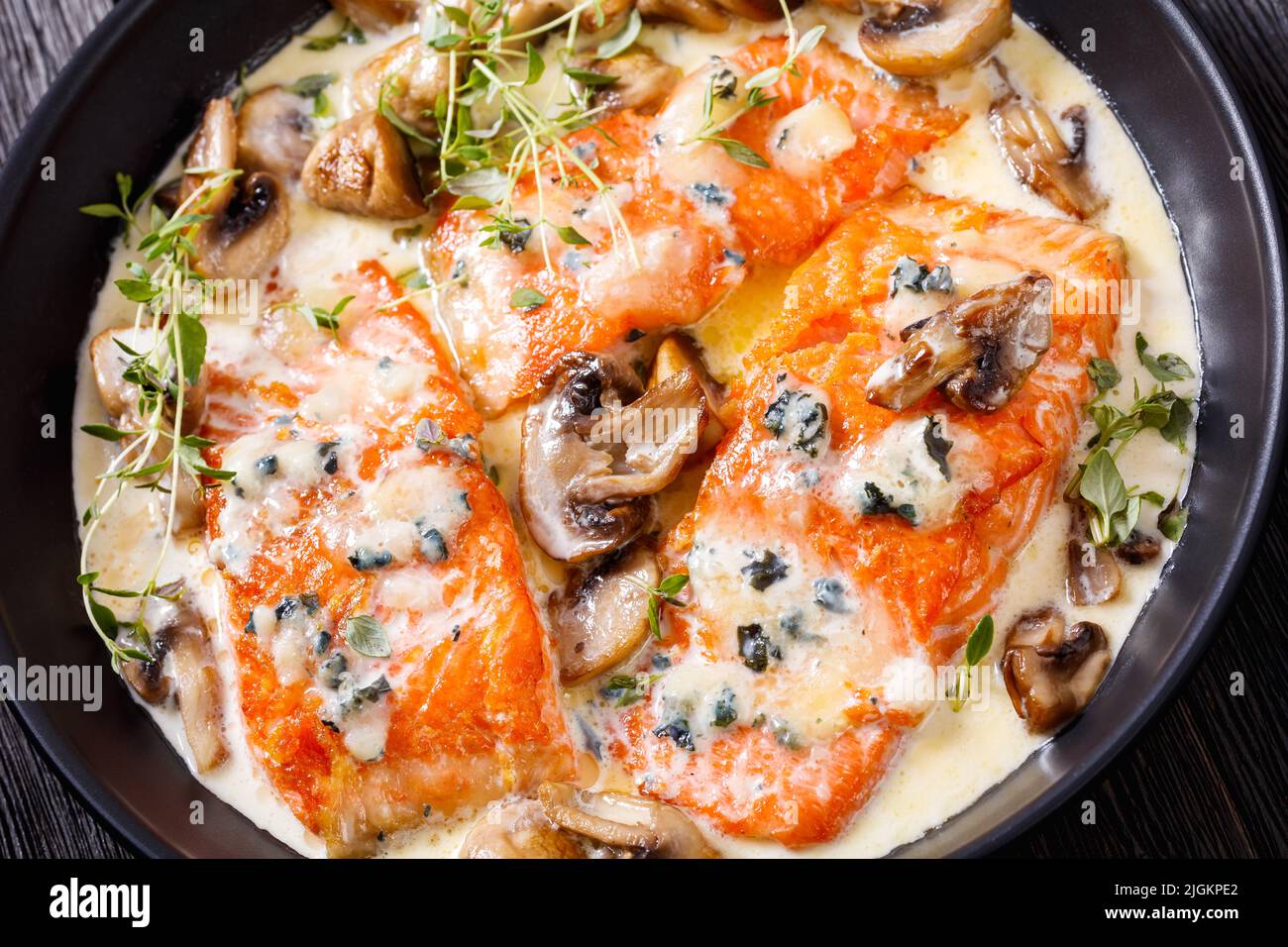 close-up of salmon fillet with creamy blue mold cheese sauce and ...