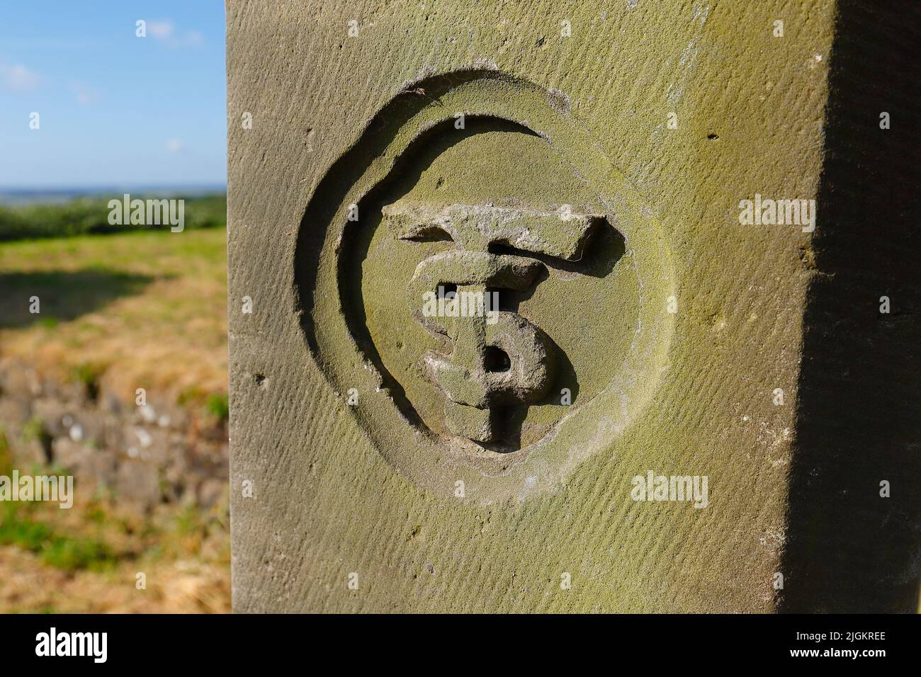 Sir tatton sykes tower hi-res stock photography and images - Alamy