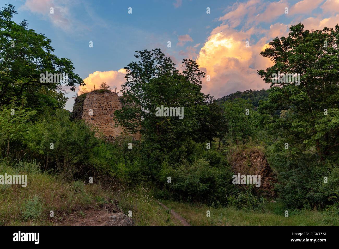 Ruins of a medieval fortress Tyrov. Central Bohemian region. Czechia ...