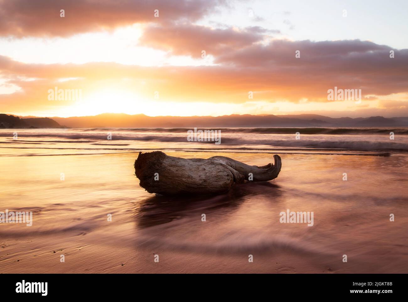 Log on a beach at sunset Stock Photo - Alamy