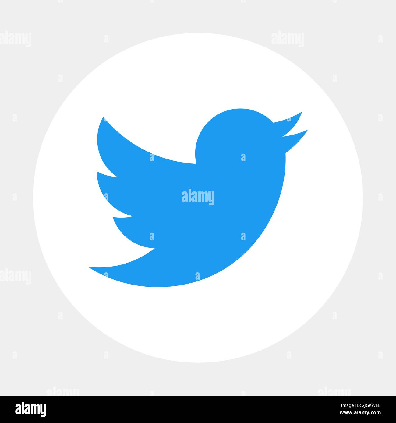Twitter social media app icon Stock Vector Image & Art - Alamy