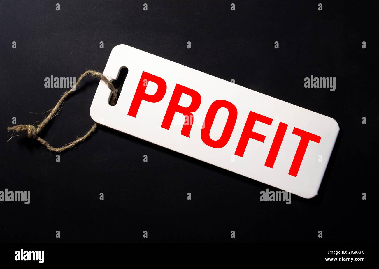 PROFIT word written on a notebook with block magnifier and pen ...