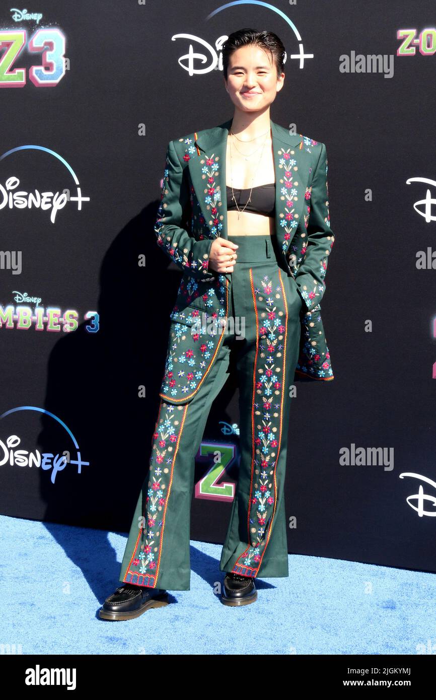 LOS ANGELES - JUL 9: Terry Hu at the Zombies 3 Premiere Screening at ...