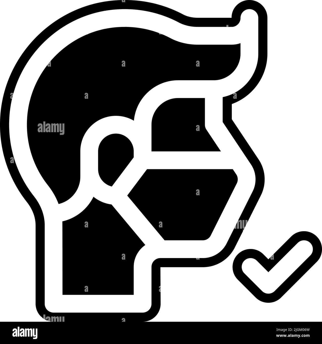 correct icon Stock Vector Image & Art - Alamy