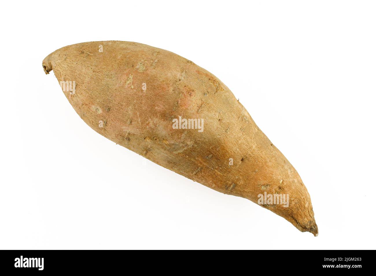 Single brown sweet potatoe isolated on white background Stock Photo - Alamy