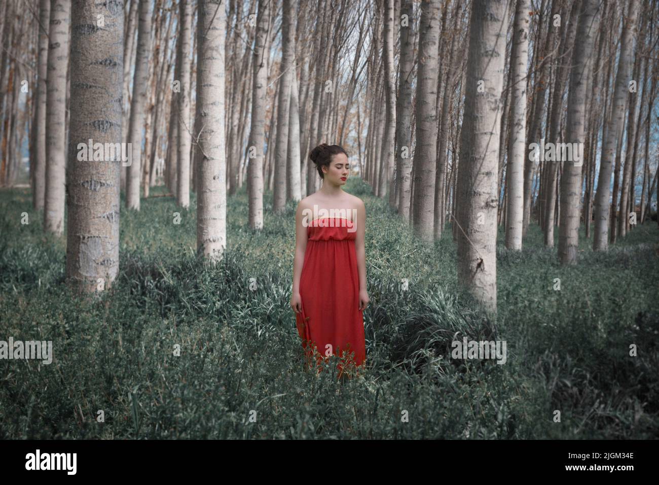 Girl in red dress in the forest Stock Photo - Alamy