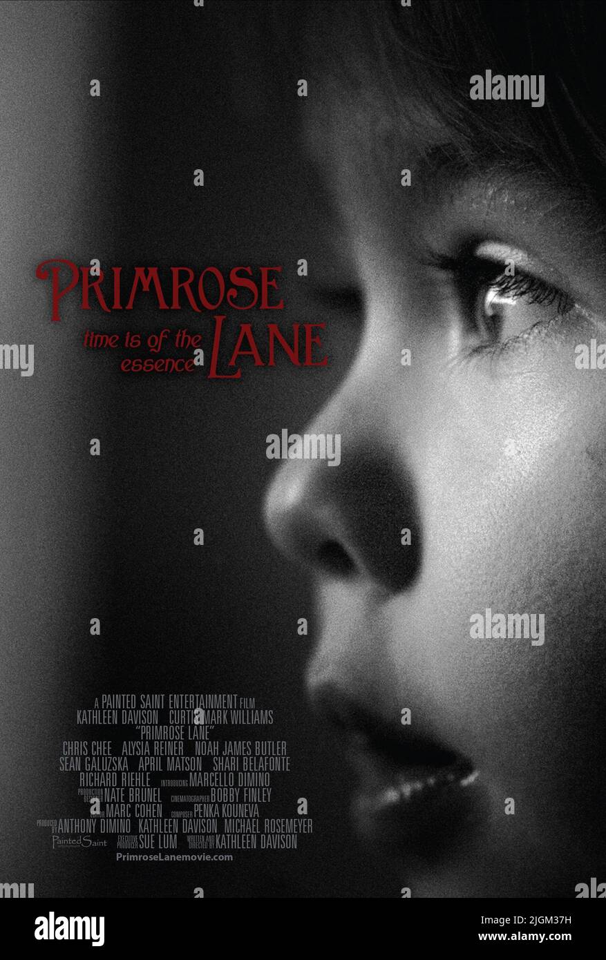 Primrose portrait hi-res stock photography and images - Alamy