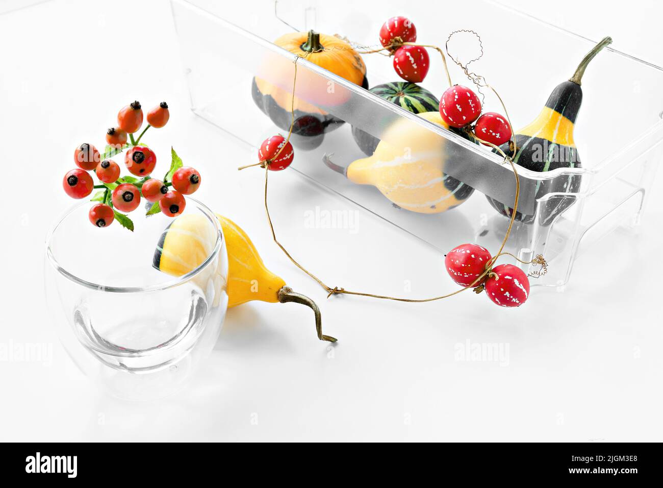 Natural Autumn decorations. Decorative Fall pumpkins, climbing plants ...