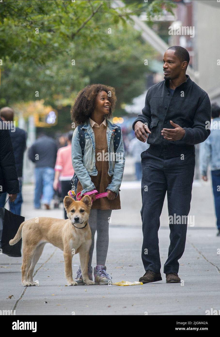 Jamie wallis hi-res stock photography and images - Alamy