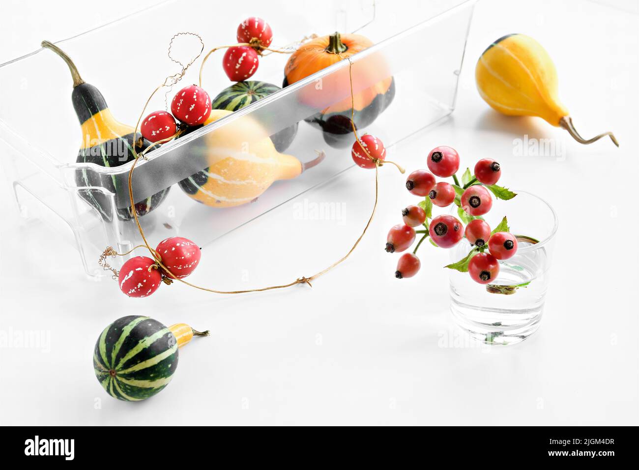 Natural Autumn decorations. Decorative Fall pumpkins, climbing plants ...