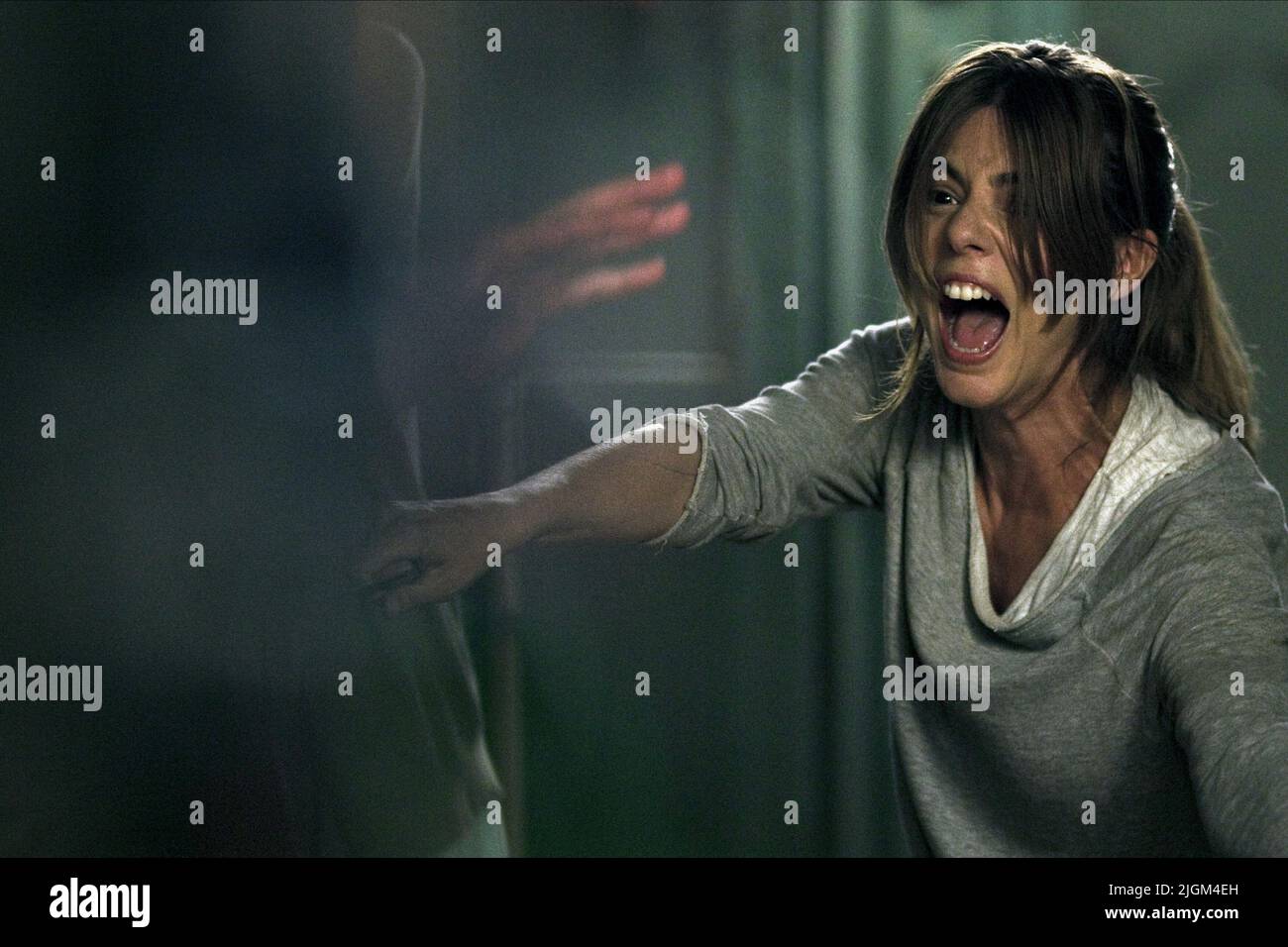 MANUELA VELASCO, REC 4: APOCALYPSE, 2014 Stock Photo - Alamy