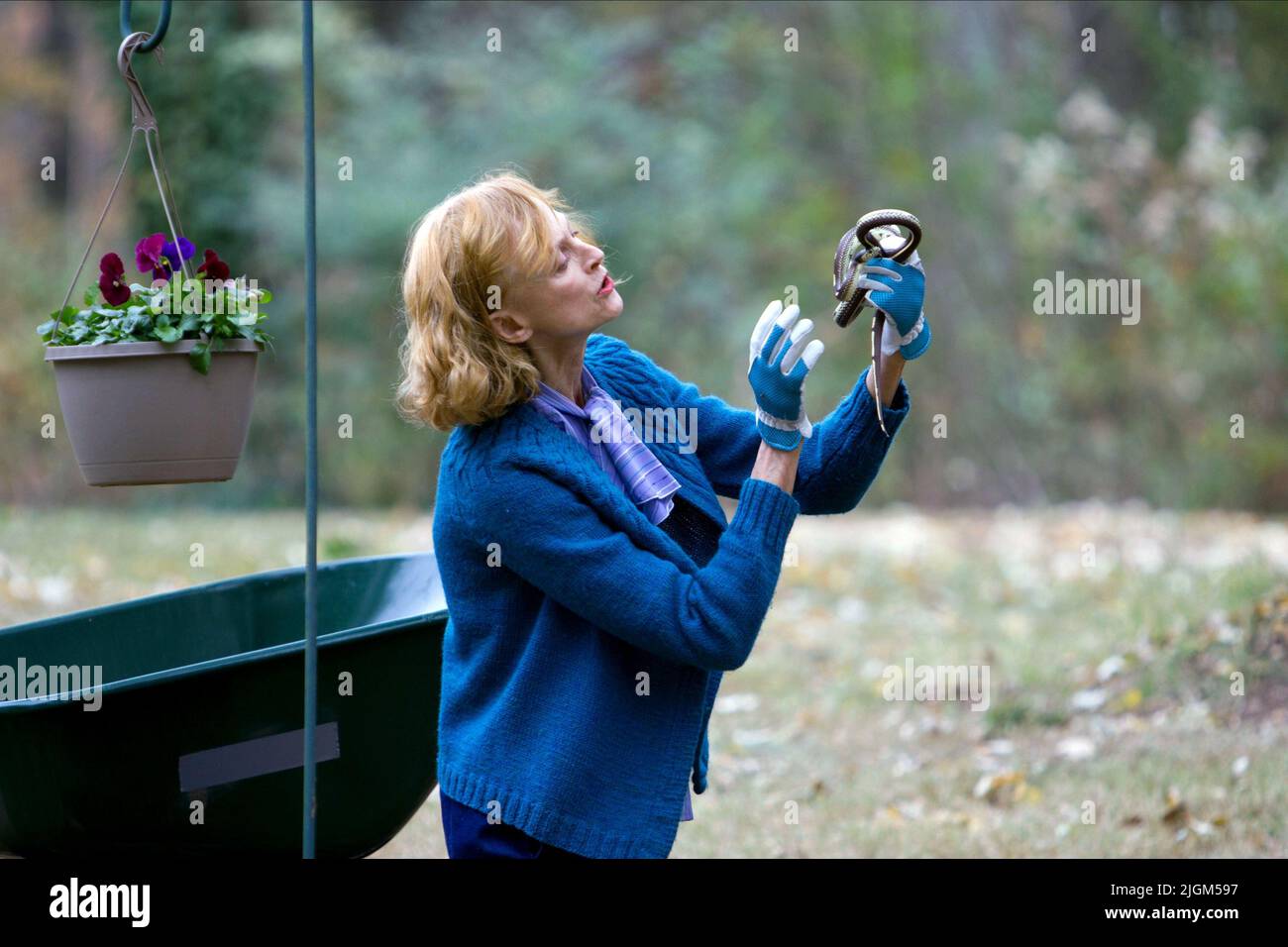 JILL LARSON, THE TAKING OF DEBORAH LOGAN, 2014 Stock Photo - Alamy