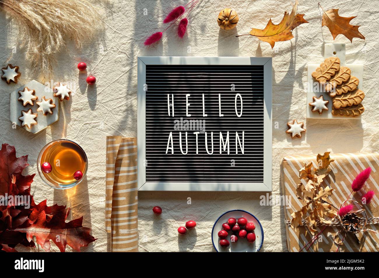 Text Happy Holiday with chrysanthemum flowers, dry bunny tail grass and ...