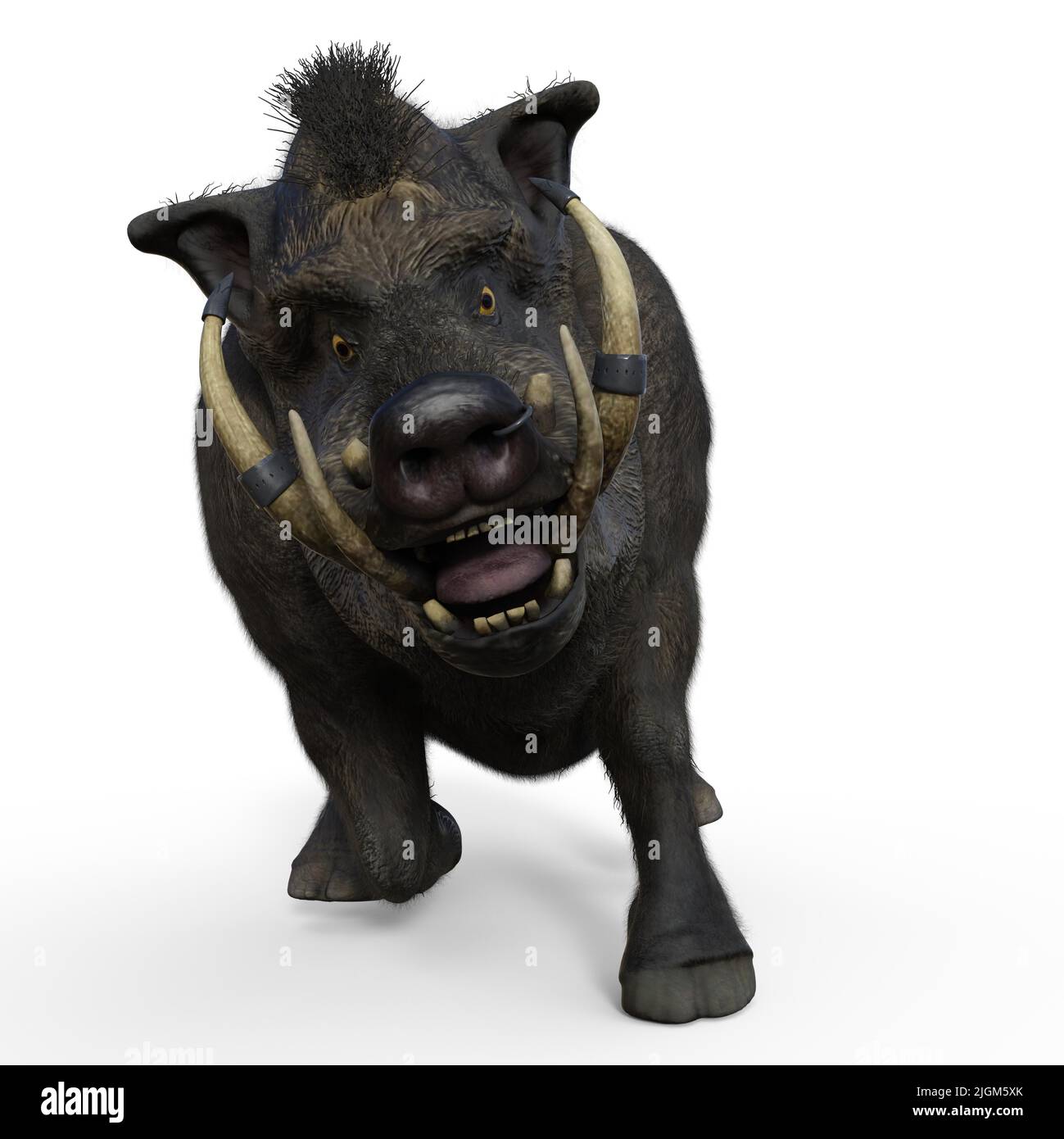 Cartoon illustration wild pig boar hi-res stock photography and images ...