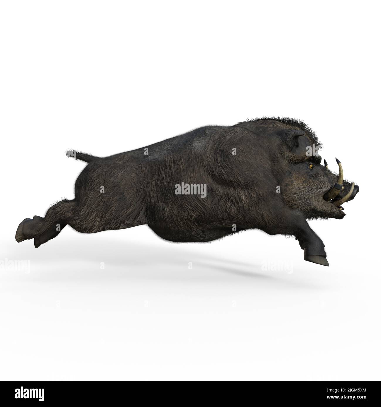 3d-illustration of an isolated battle boar animal really wild and ...