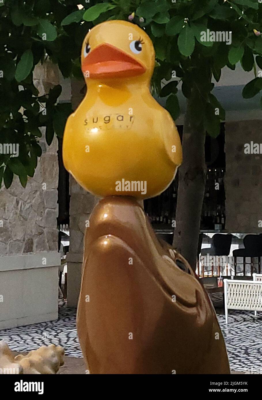 Rubber duck store hi-res stock photography and images - Alamy