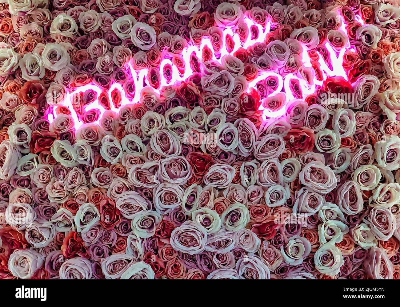 Bahamas wall art hi-res stock photography and images - Alamy
