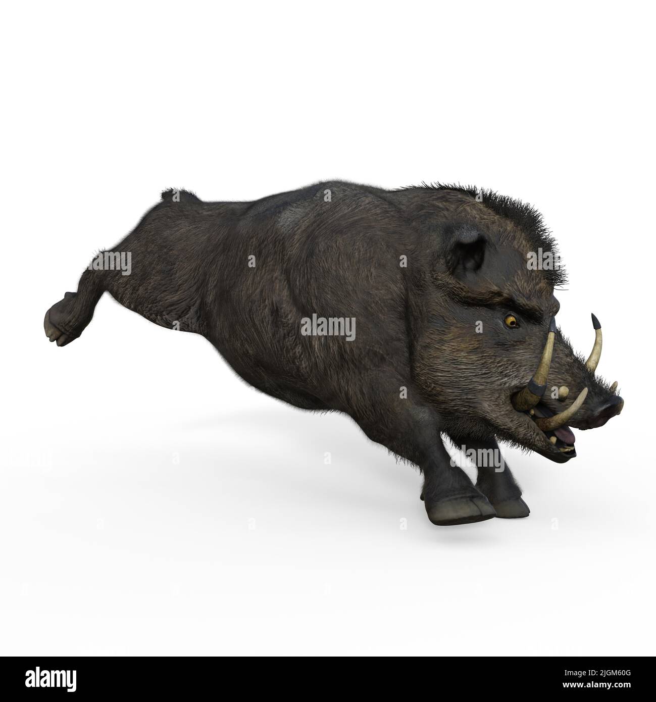 3d-illustration of an isolated battle boar animal really wild and ...