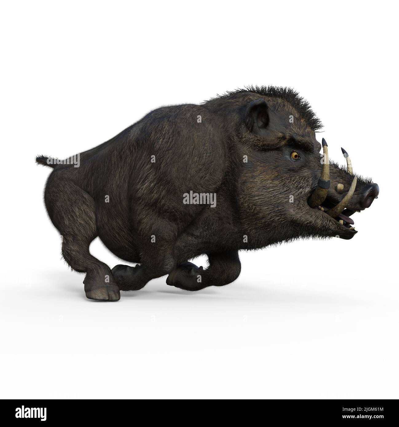 3d-illustration of an isolated battle boar animal really wild and ...