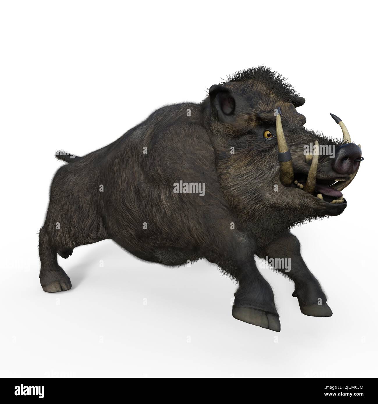 3d-illustration of an isolated battle boar animal really wild and ...