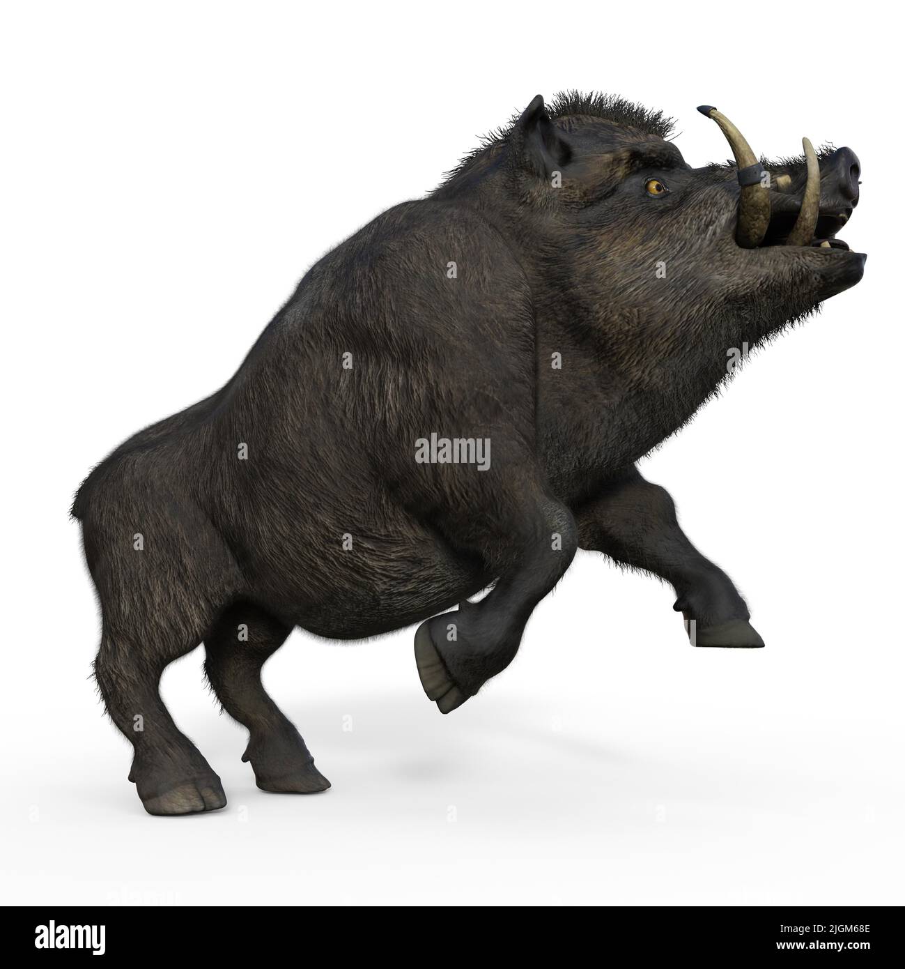 3d-illustration of an isolated battle boar animal really wild and ...