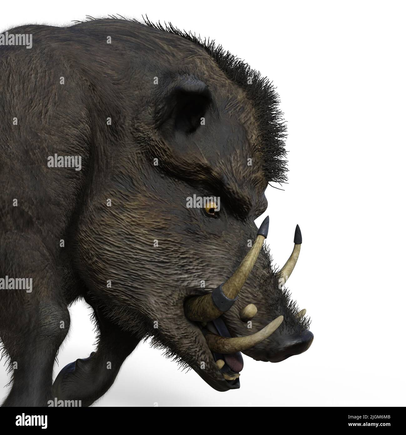 3d-illustration of an isolated battle boar animal really wild and ...