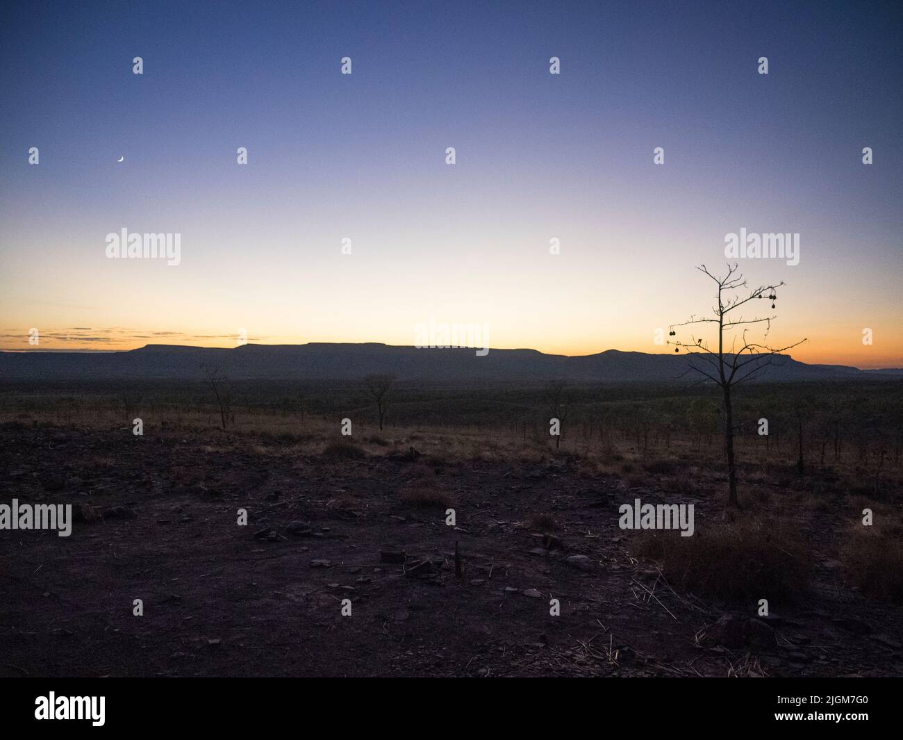 Sunrise over the Cockburn Ranges watched by a lonely kapok tree ...