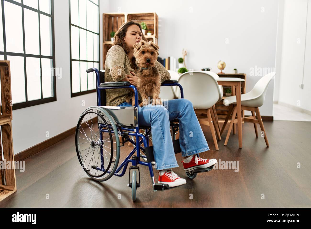 Young hispanic girl sitting on wheelchair at home with hand on stomach because nausea, painful ...