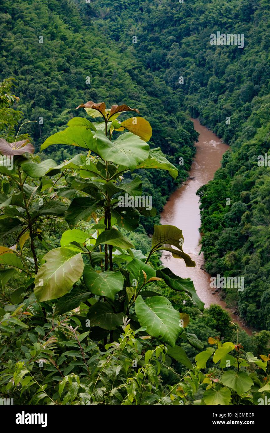 View of the Mae Kok river from the BHUDDIST STUPA at WAT THATON ...