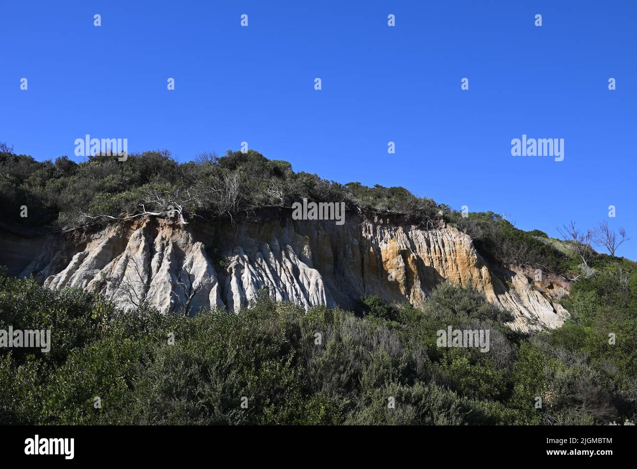 Light sandy coloured cliff face, with green bushes above and below ...