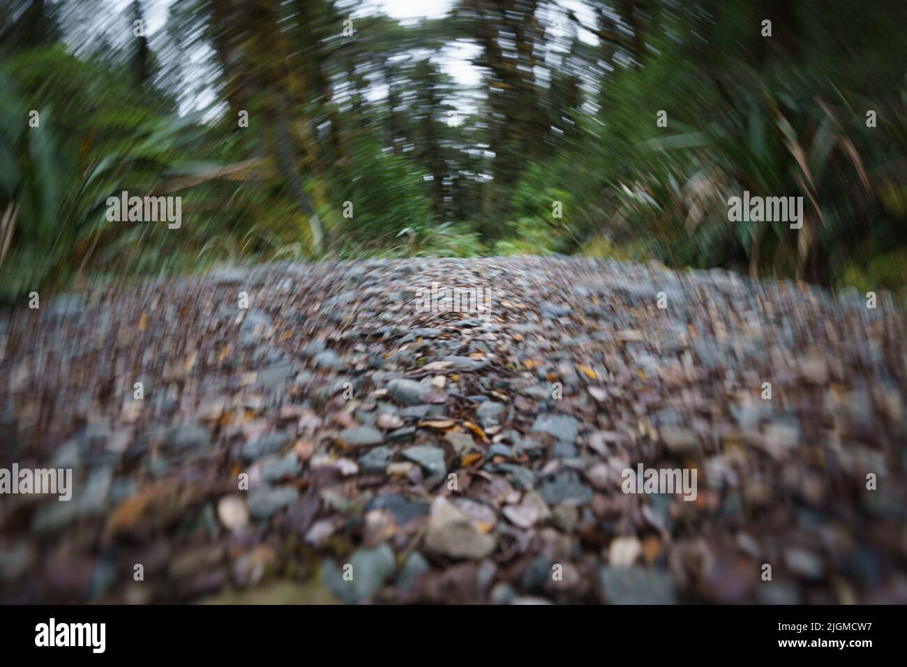 Swirling circular motion of New Zealand bush and walking track giving ...