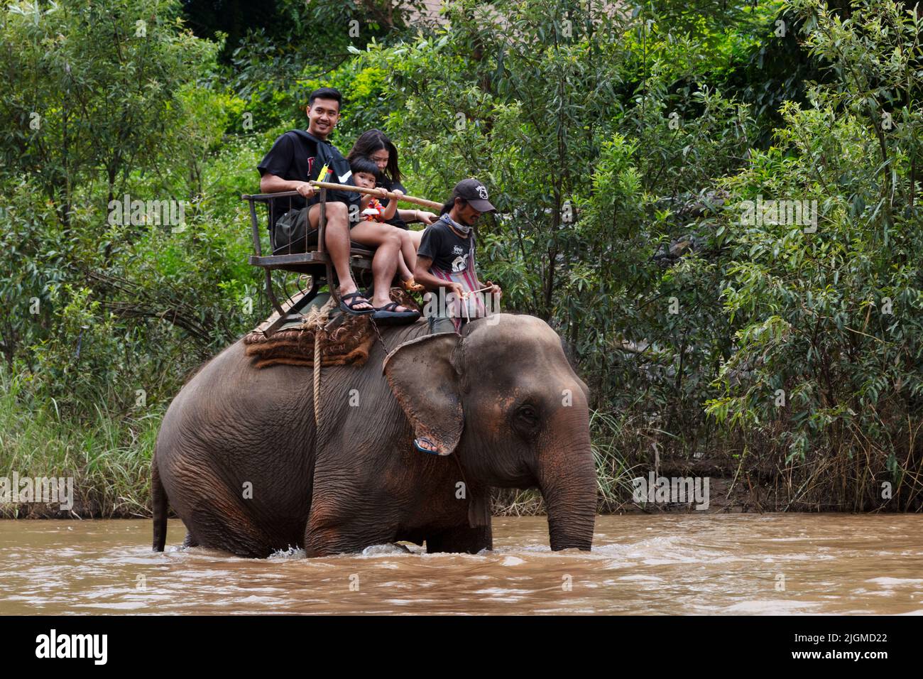 An elephant riding camp along the MAE KOK river near Chiang Rai ...