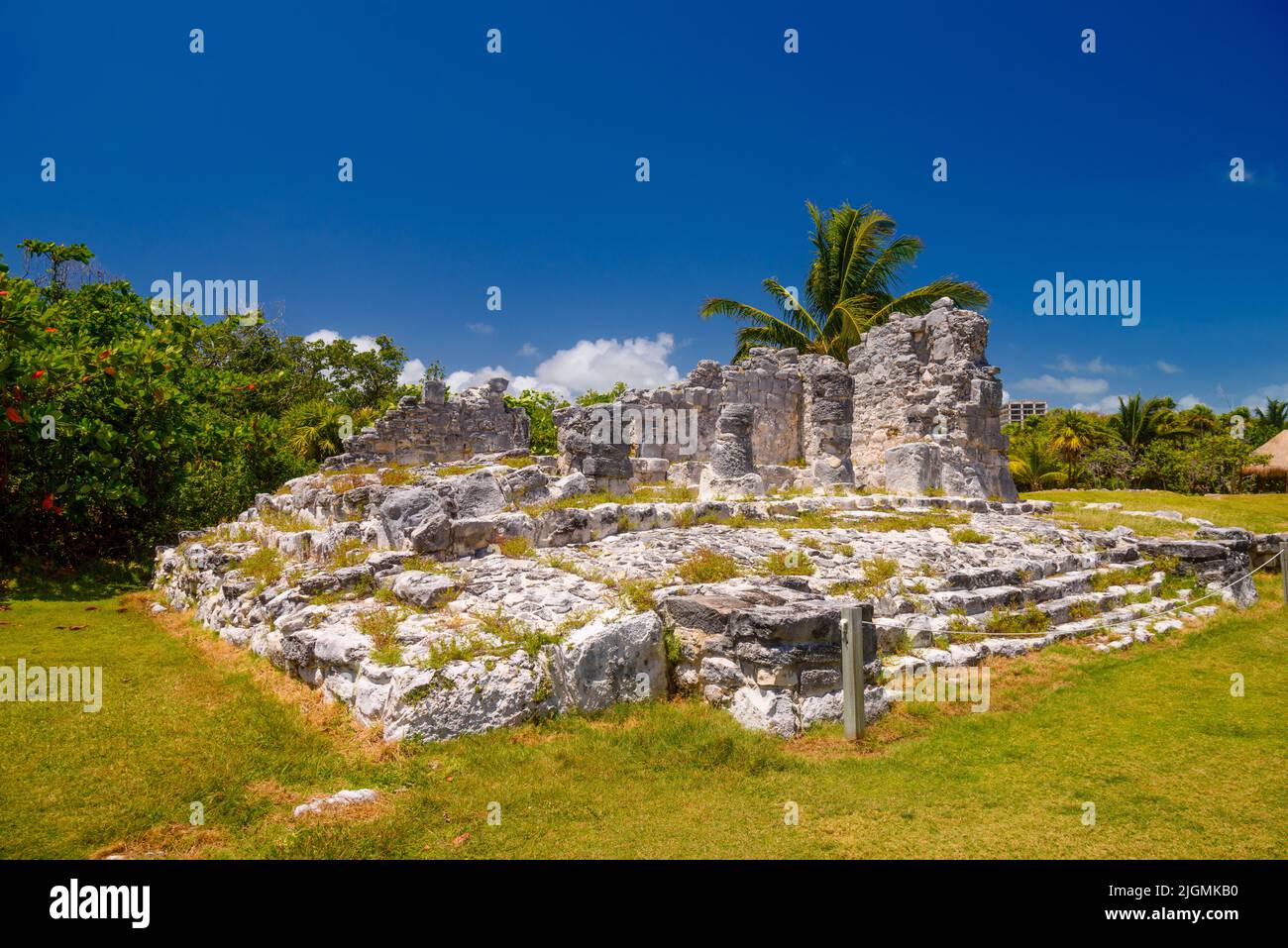 Ancient ruins of Maya in El Rey Archaeological Zone near Cancun ...