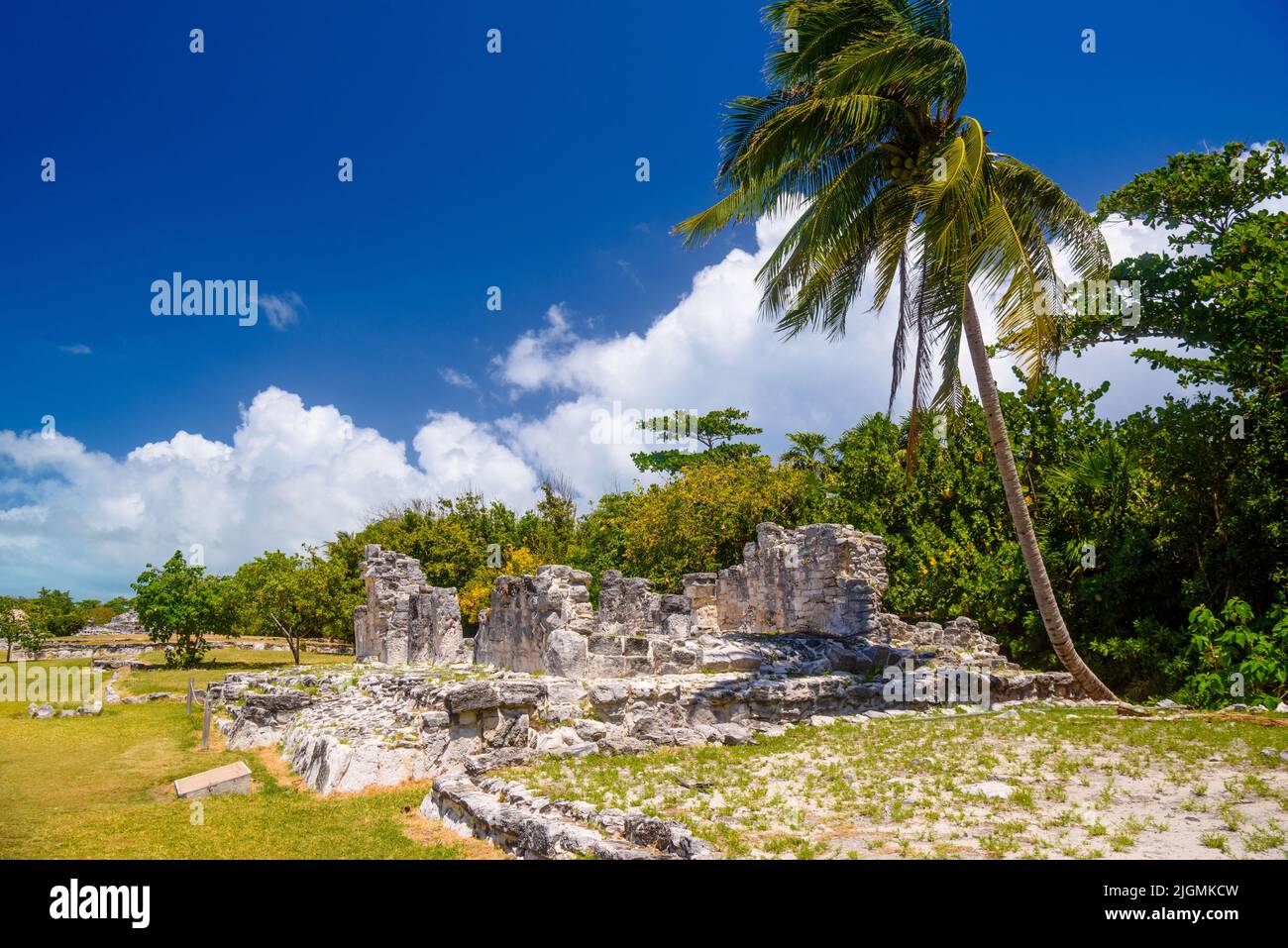 Ancient ruins of Maya in El Rey Archaeological Zone near Cancun ...