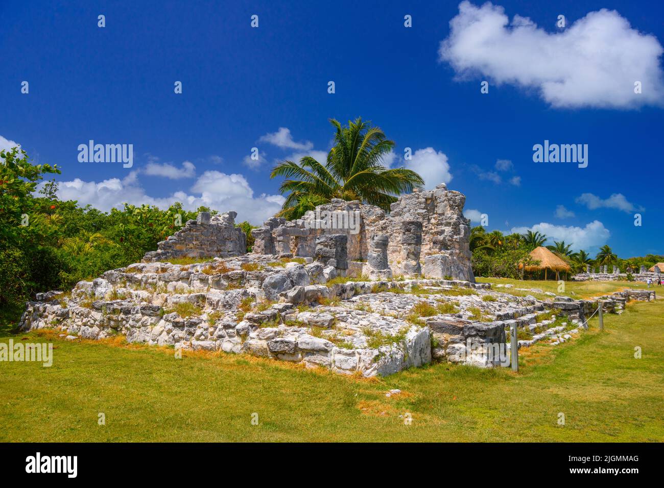 Ancient ruins of Maya in El Rey Archaeological Zone near Cancun ...