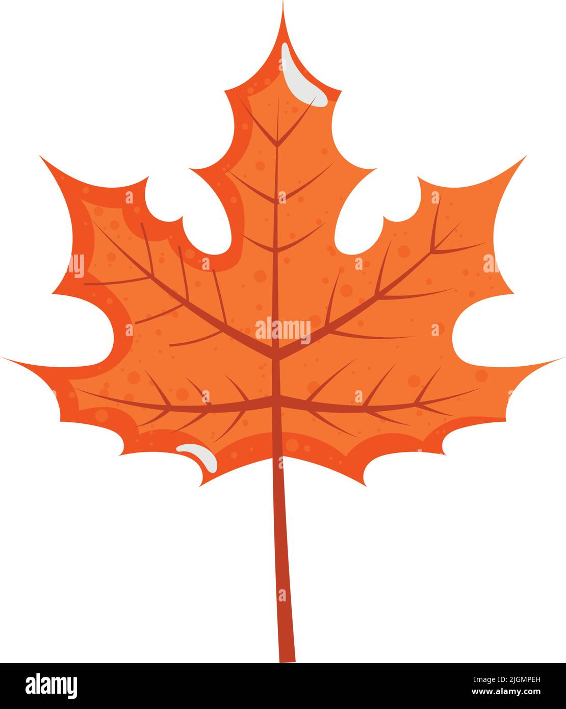 maple leaf illustration Stock Vector Image & Art - Alamy