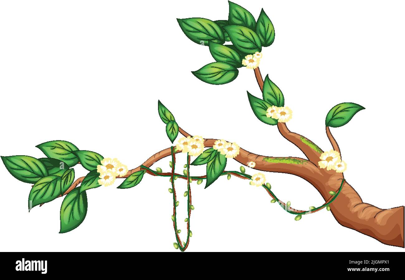 Cherry blossom branch isolated illustration Stock Vector Image & Art ...