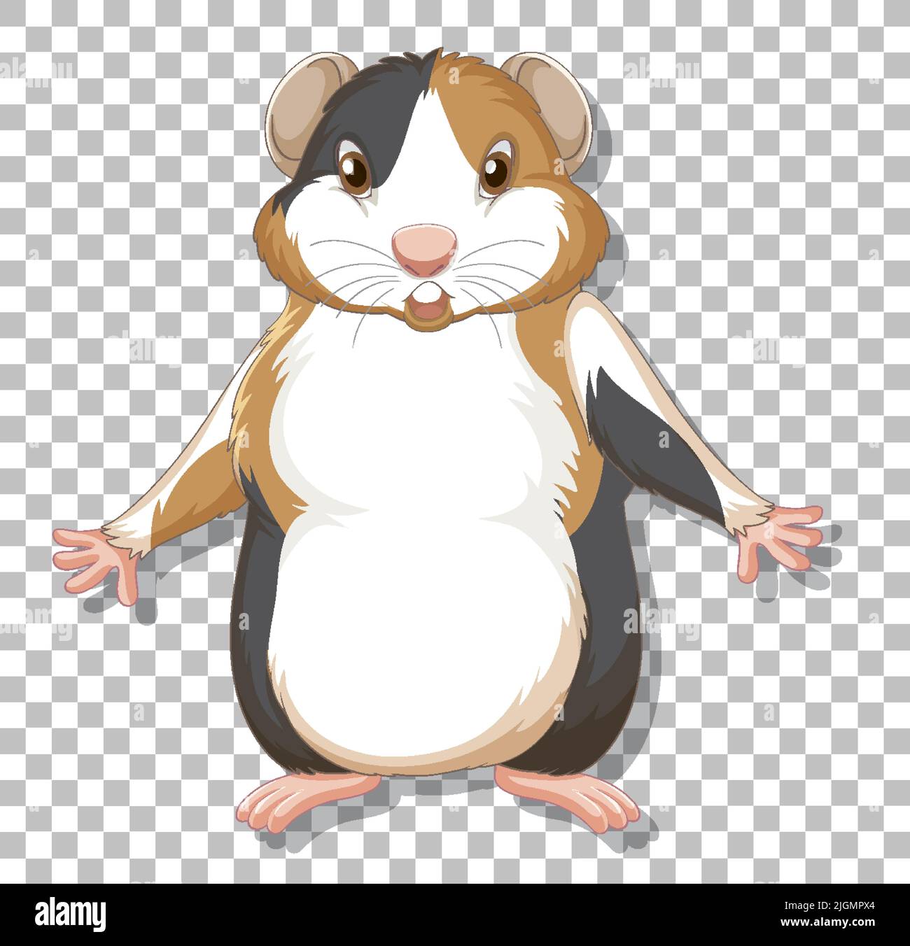 Hamster in cartoon style illustration Stock Vector Image & Art - Alamy