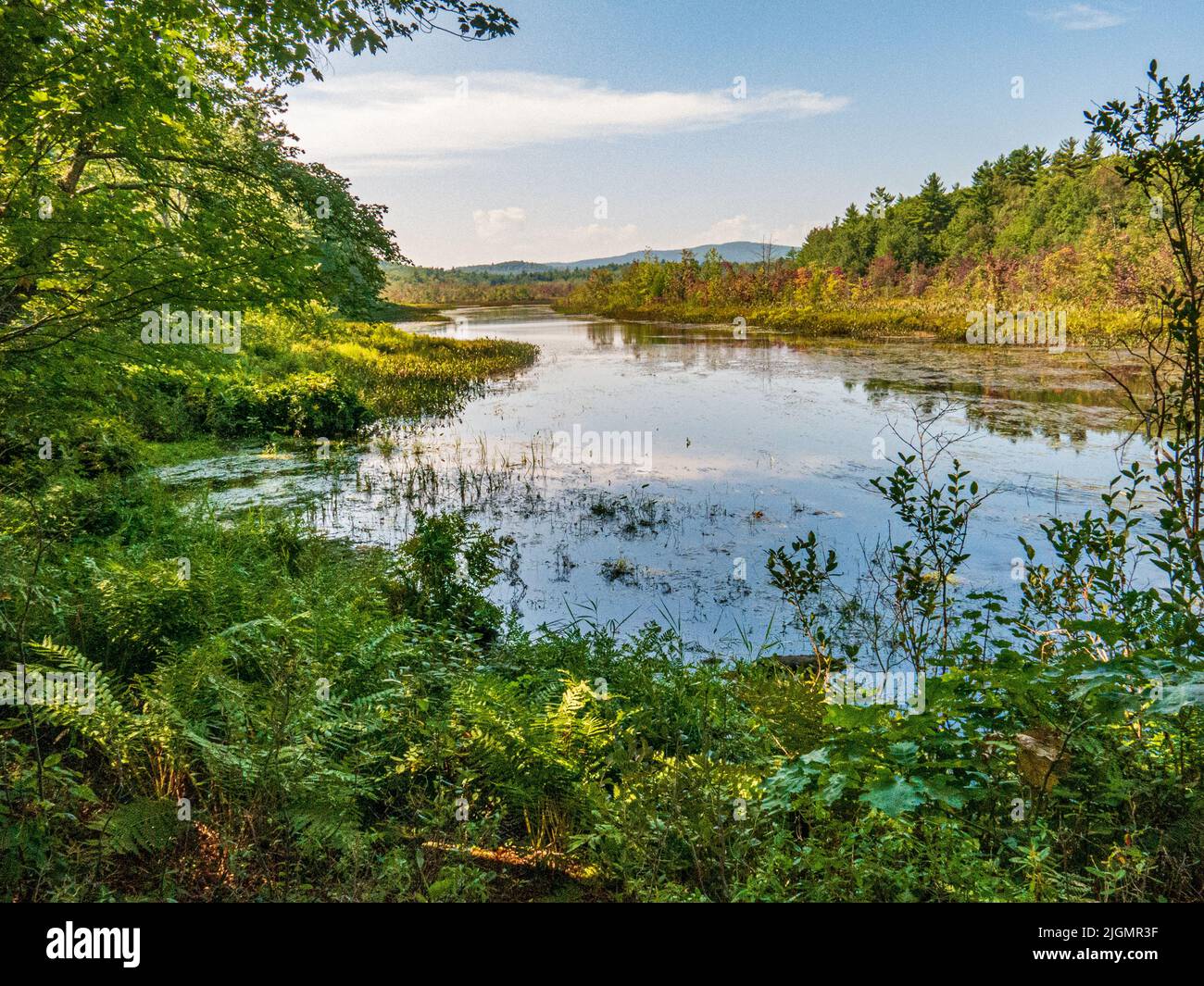 A pond at the Harris Center in Hancock, New Hampshire Stock Photo - Alamy