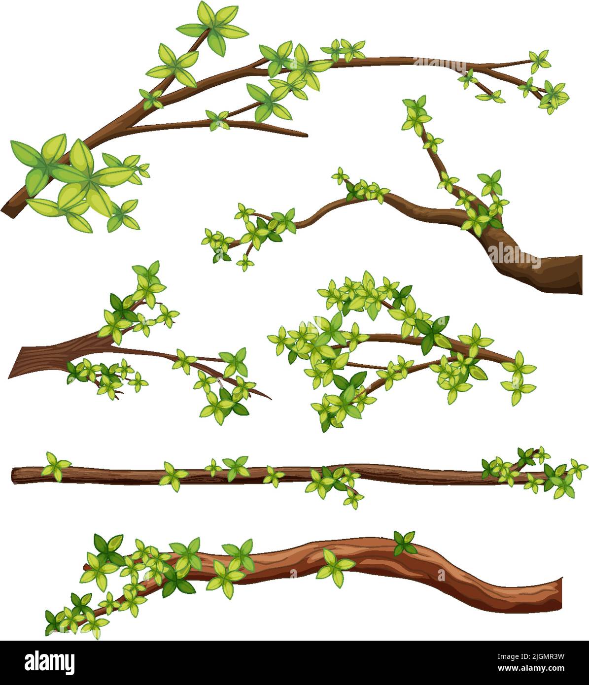 Set of different tree branches isolated illustration Stock Vector Image ...