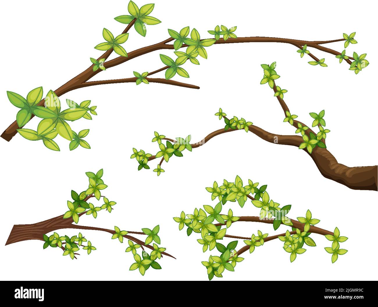 Set of different tree branches isolated illustration Stock Vector Image ...
