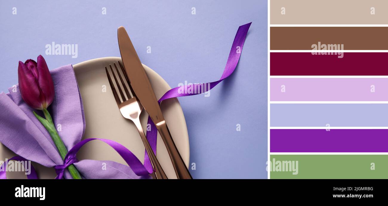 Beautiful table setting with tulip on color background, closeup ...