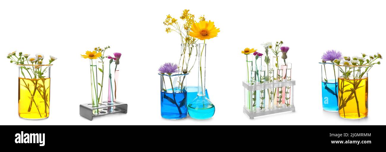 Set of laboratory glassware with flowers on white background Stock ...