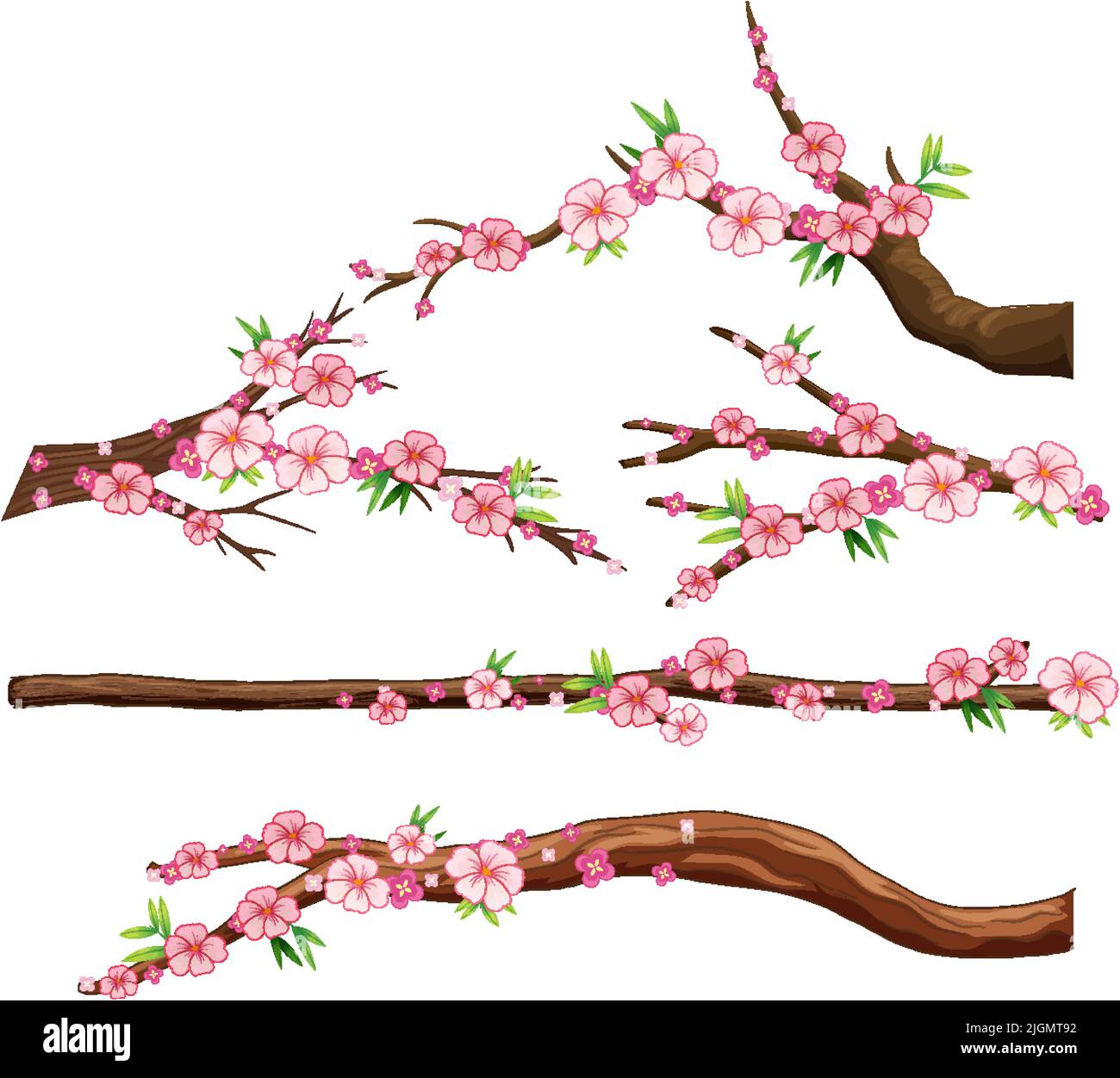 Cherry blossom branch isolated illustration Stock Vector Image & Art ...