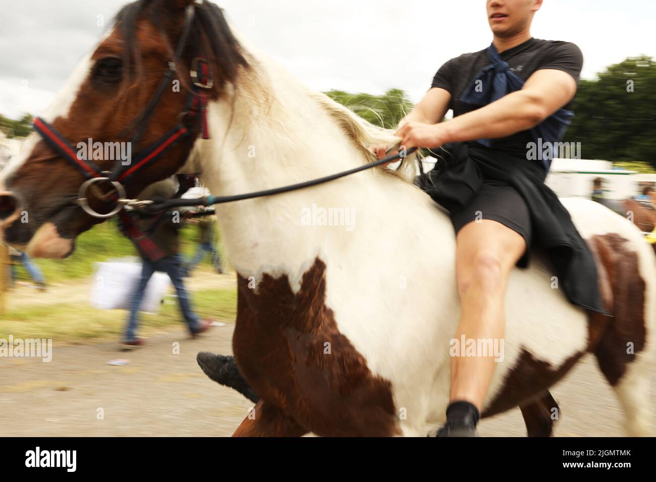 A young man trotting along the road on a coloured gypsy cob horse ...