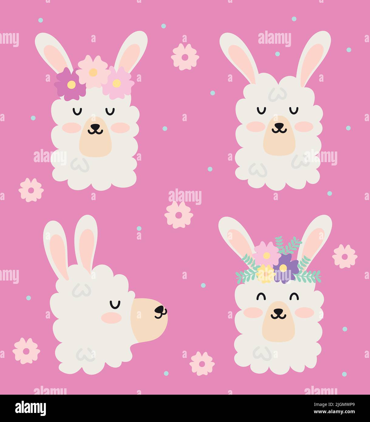 six llama faces Stock Vector Image & Art - Alamy