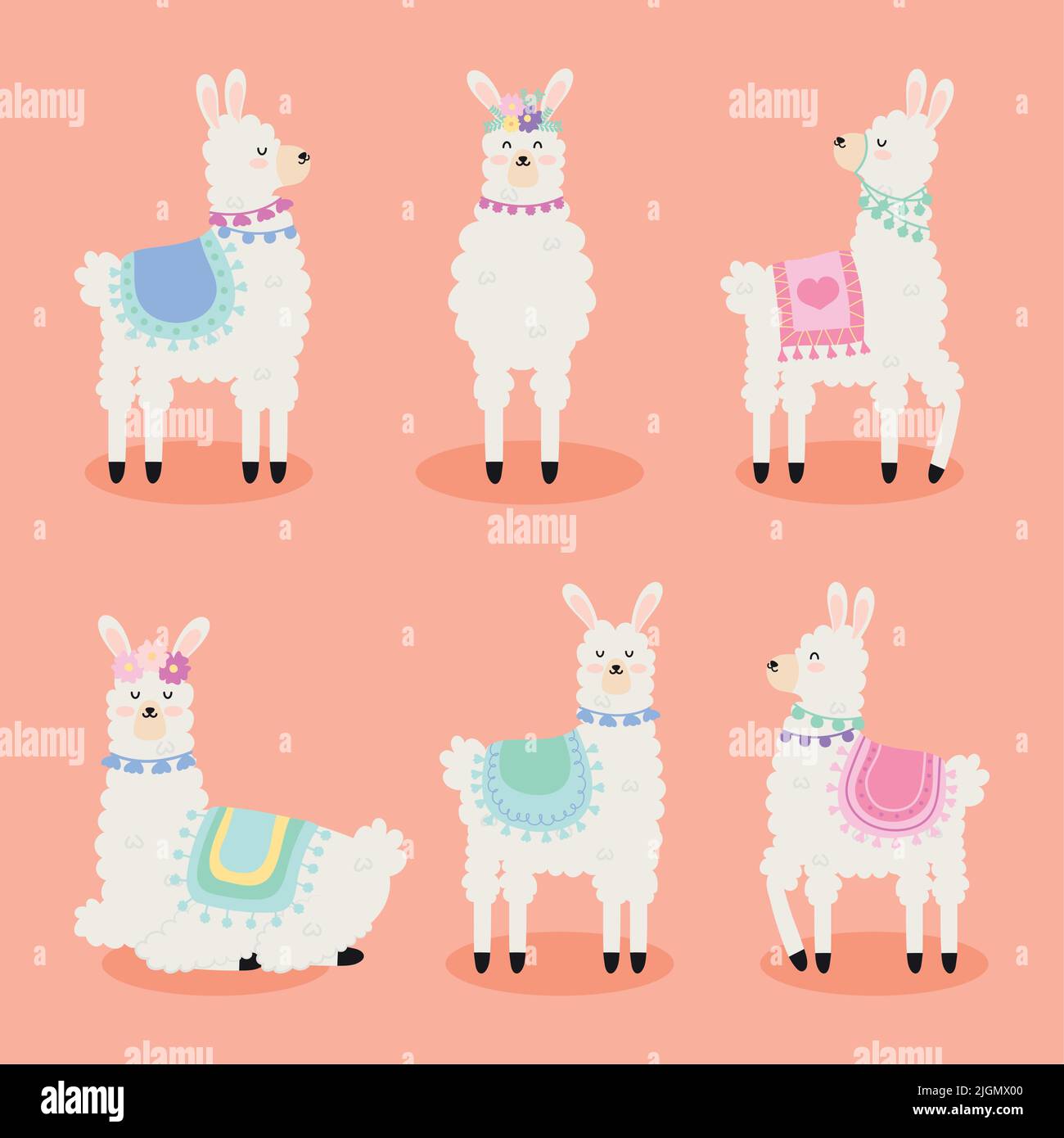 six colored llamas Stock Vector Image & Art - Alamy